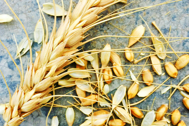 True Salvation: Overview – Inheriting Sonship